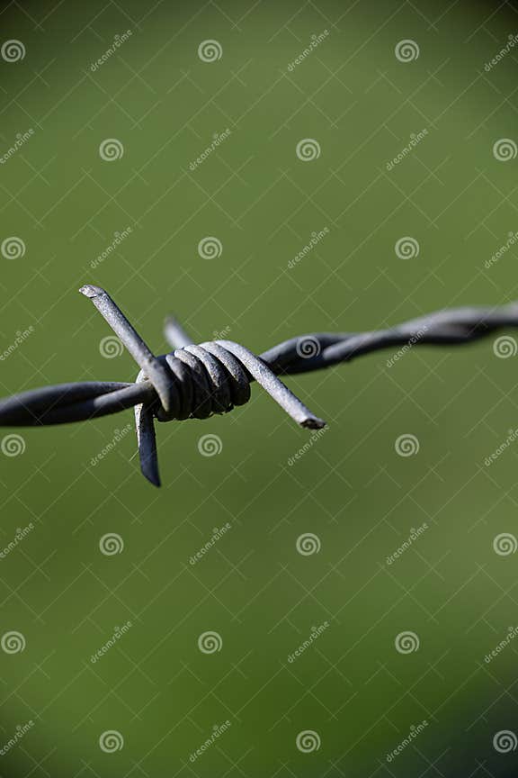 Vertical Closeup of a Barbed Wire on a Green Background Stock Image ...