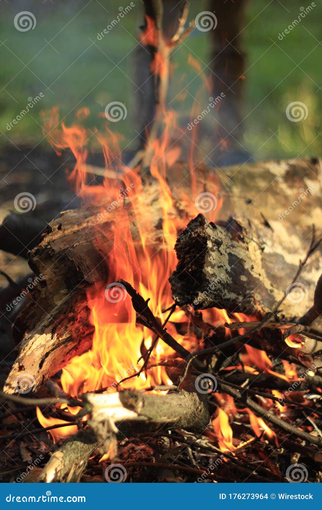 Vertical Closeup of a Campfire Under the Sunlight at Daytime Stock ...
