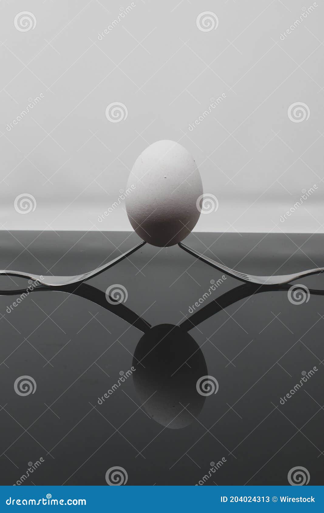 Vertical Closeup of an Egg Balanced on Two Forks with a Grey Background ...