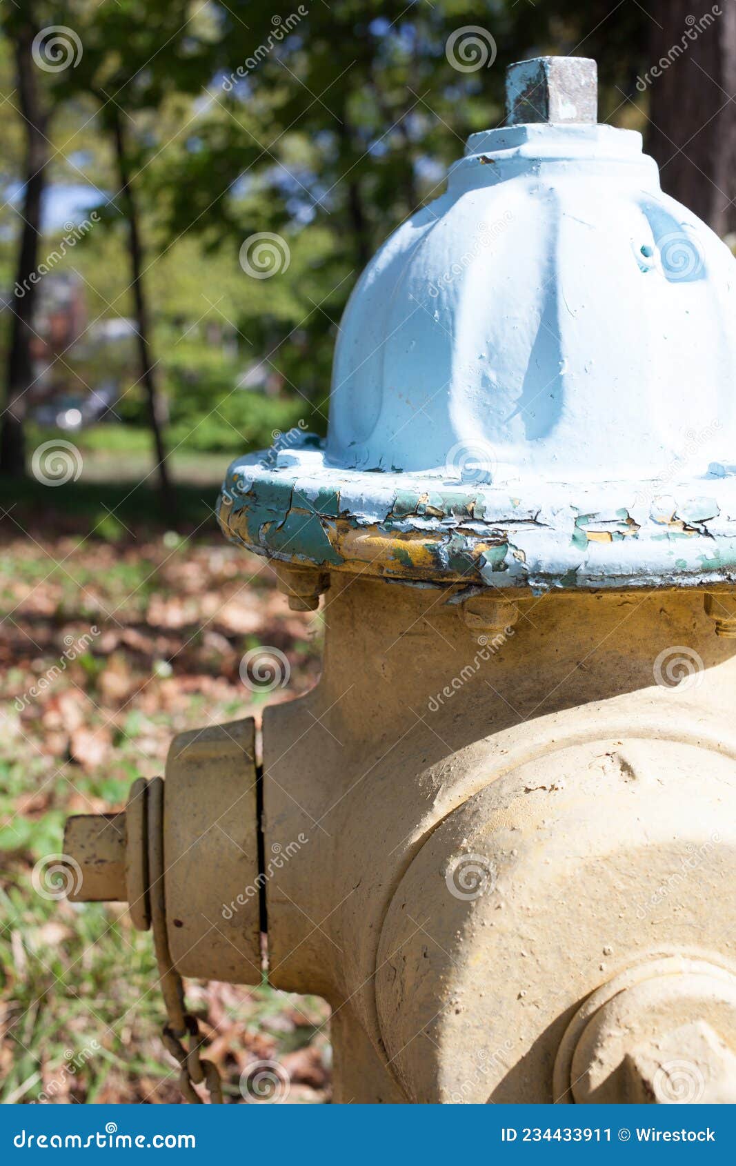 Vertical Closeup of a Fire Hydrant in a Park Outdoors Stock Image ...
