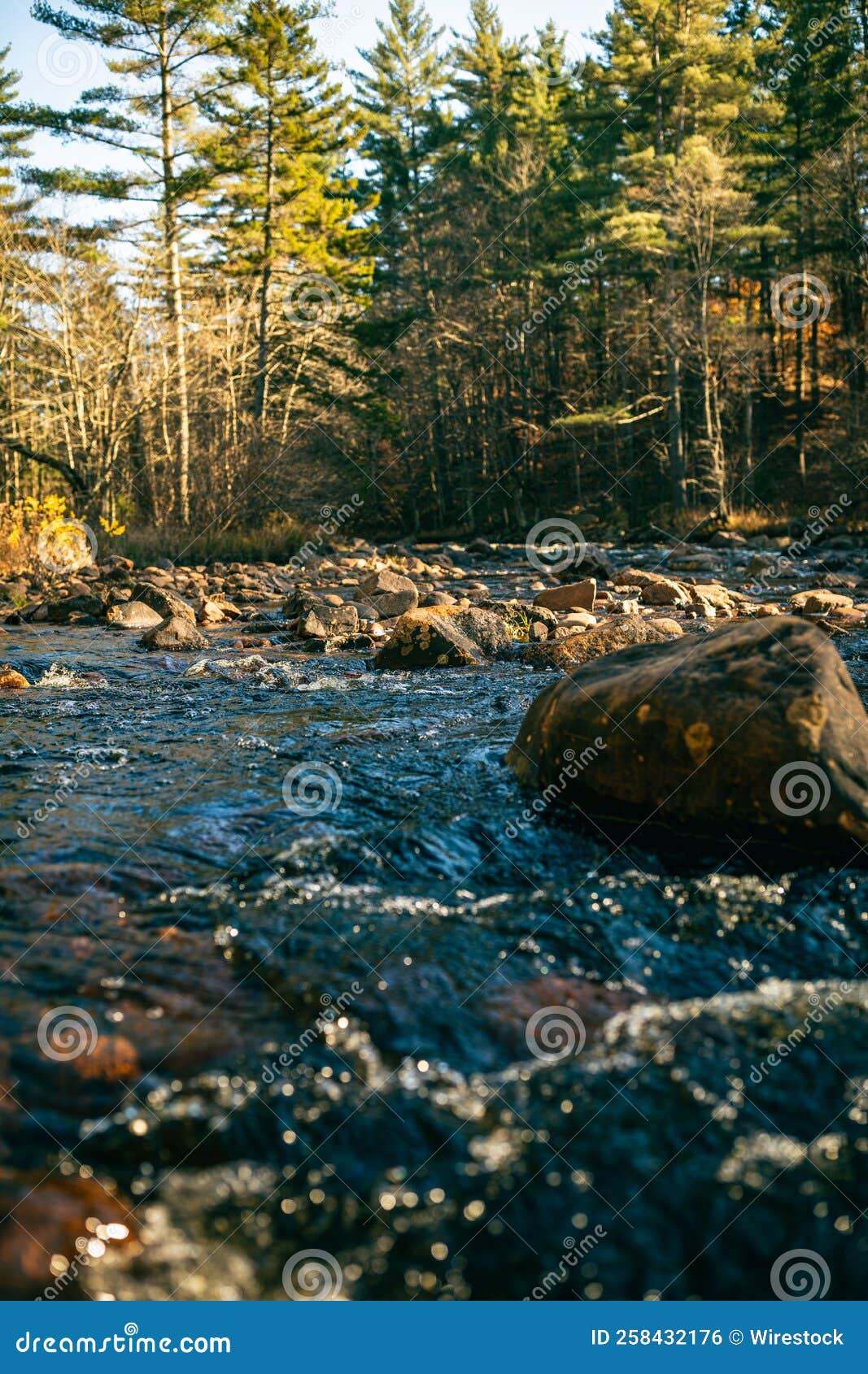 Vertical Closeup of a Flowing Lake with Stones and Trees Around, Sky ...