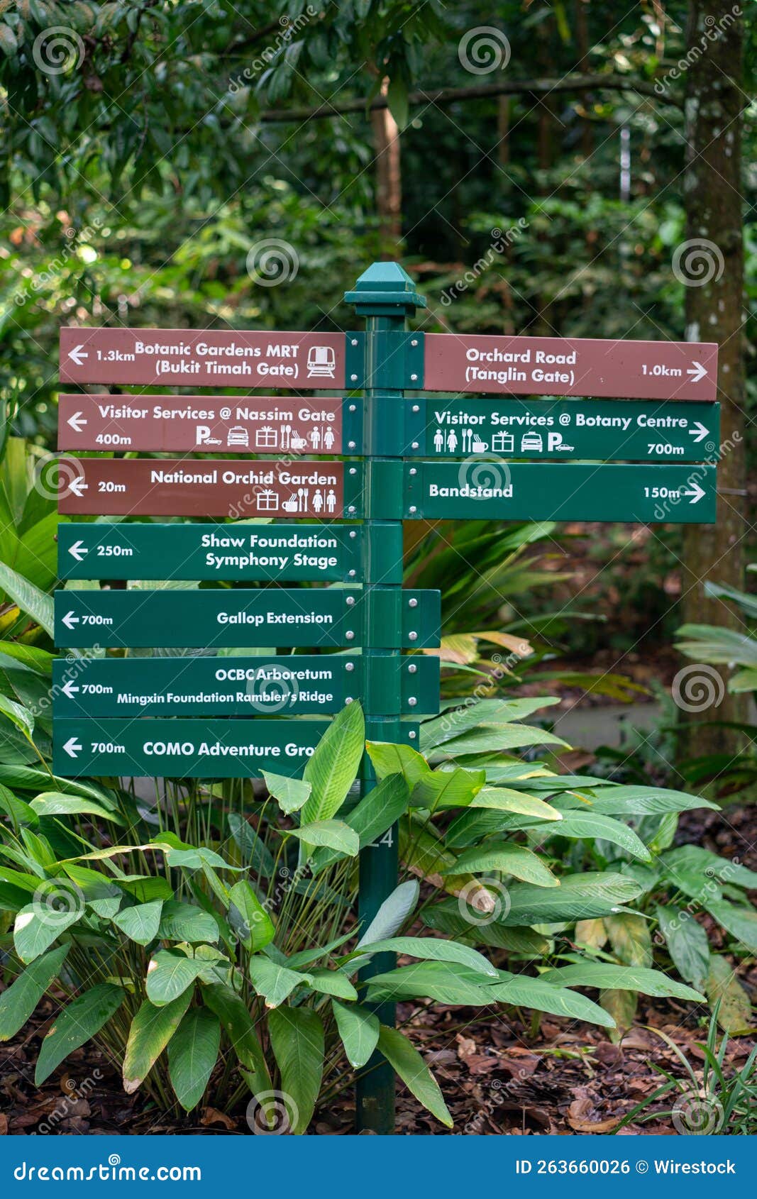Vertical Closeup of Information Signs at Botanic Garden Trees Blurred ...