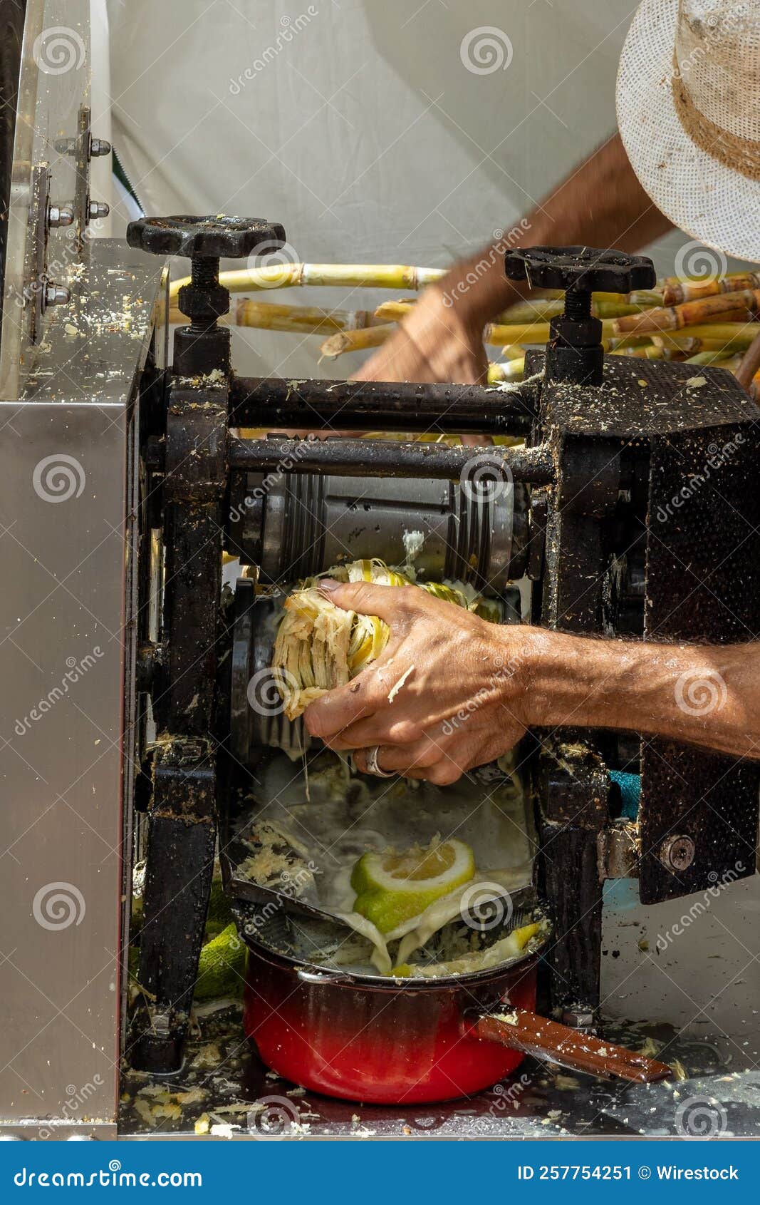 Vertical Closeup of a Man Extracting Cane Sugar by Inserting it into a ...