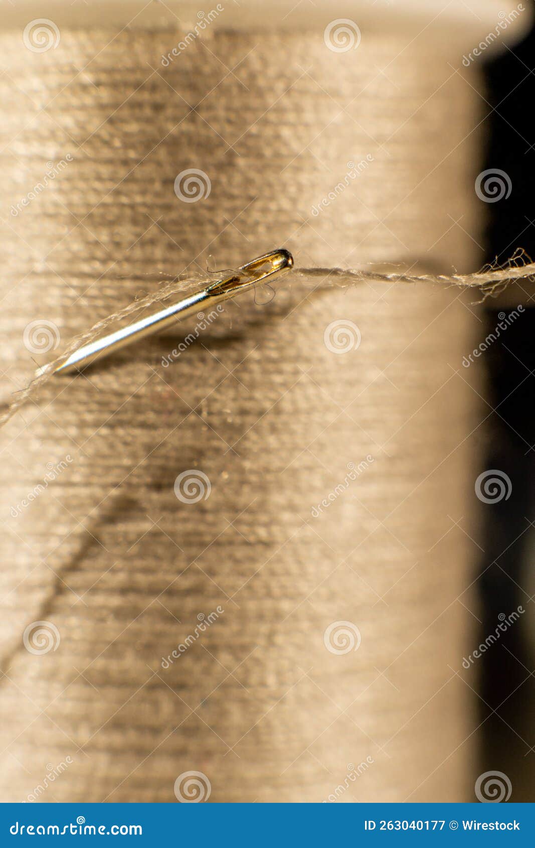 Vertical Closeup of a Needle with a Long Brown Thread Going through Its ...