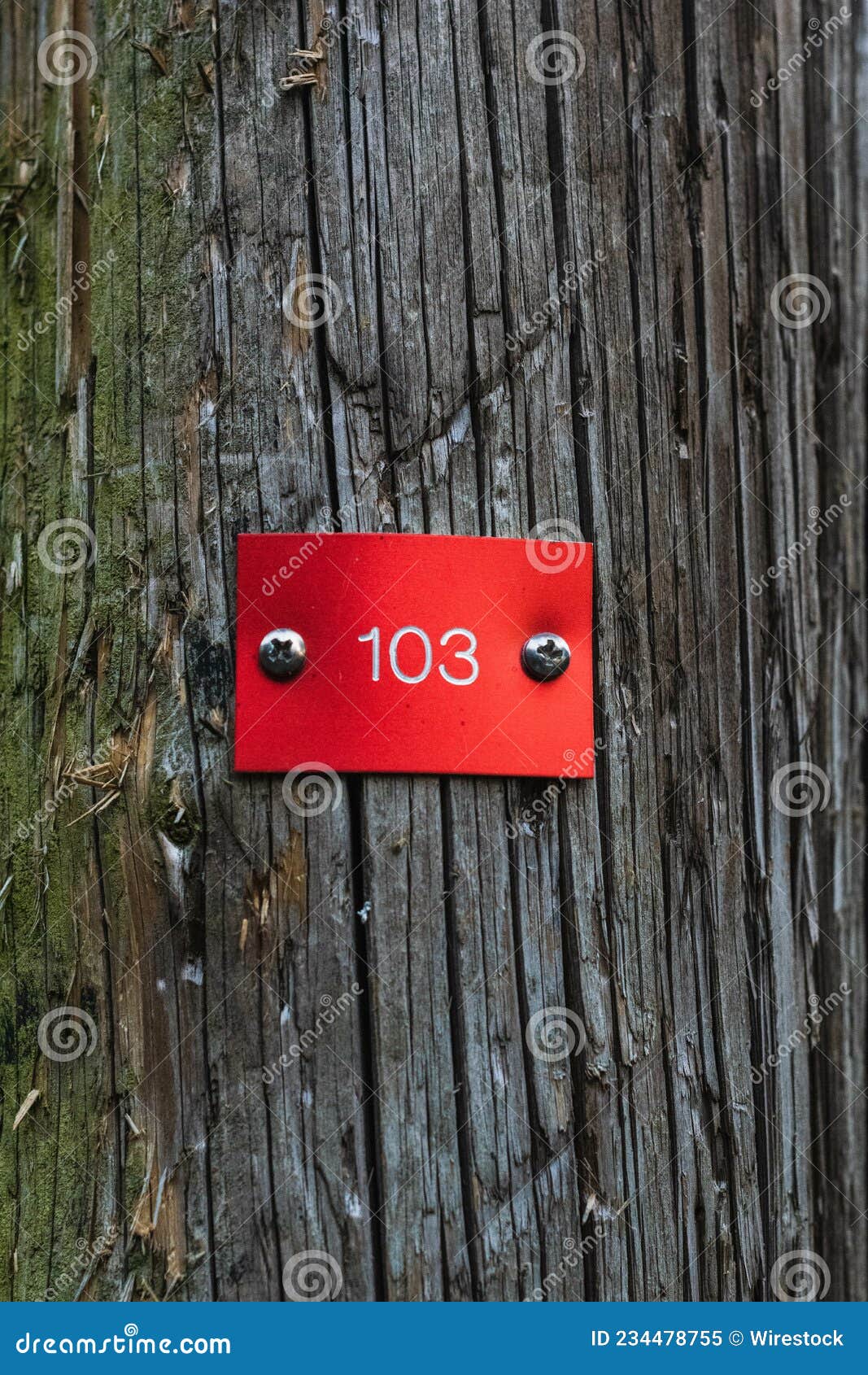 Vertical Closeup of the Number 103 on a Red Surface on a Wooden Wall ...