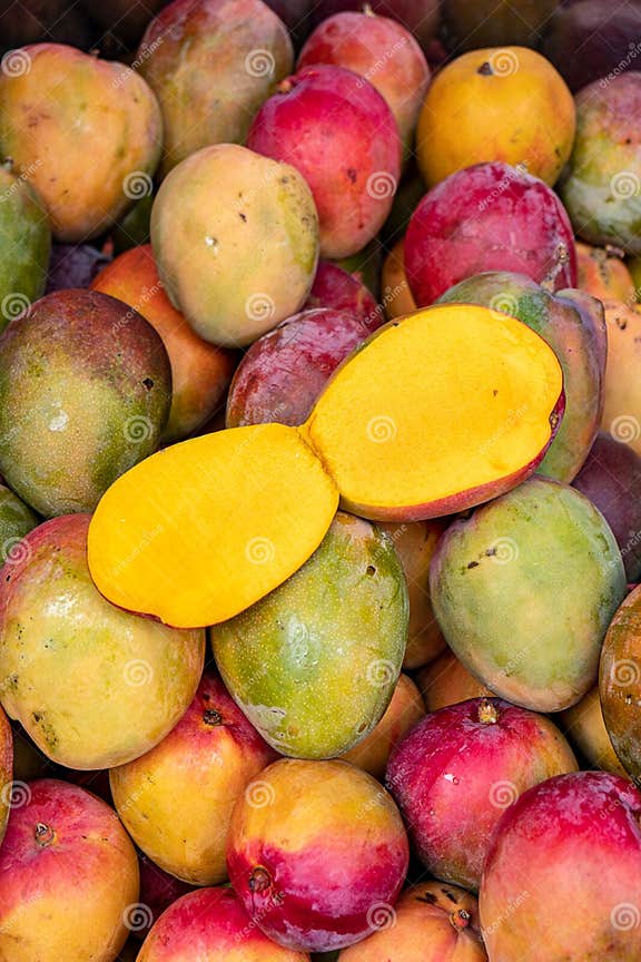 Vertical Closeup of a Pile of Fresh Mangos Stock Photo - Image of ...