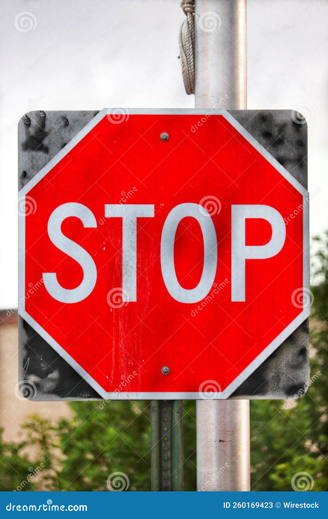 Vertical Closeup of a Red "stop" Road Sign Stock Image - Image of ...