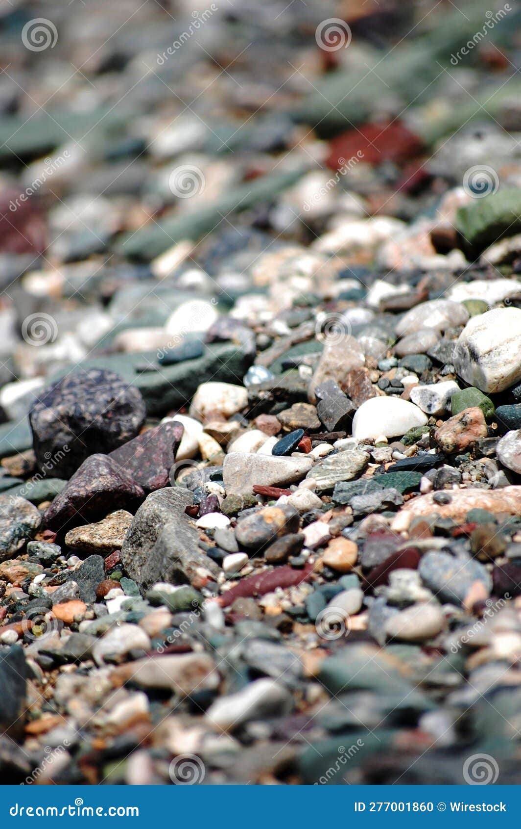 Vertical Closeup of a Rocky Landscape Featuring Small Stones Scattered ...