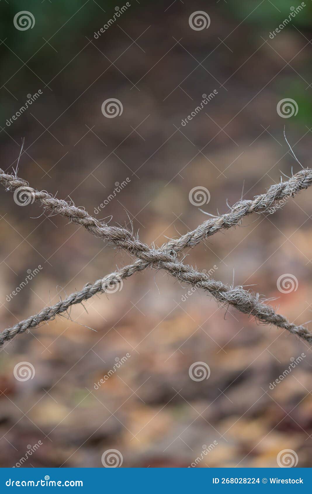 Vertical Closeup of Ropes in a Crossed Shape Stock Photo - Image of ...