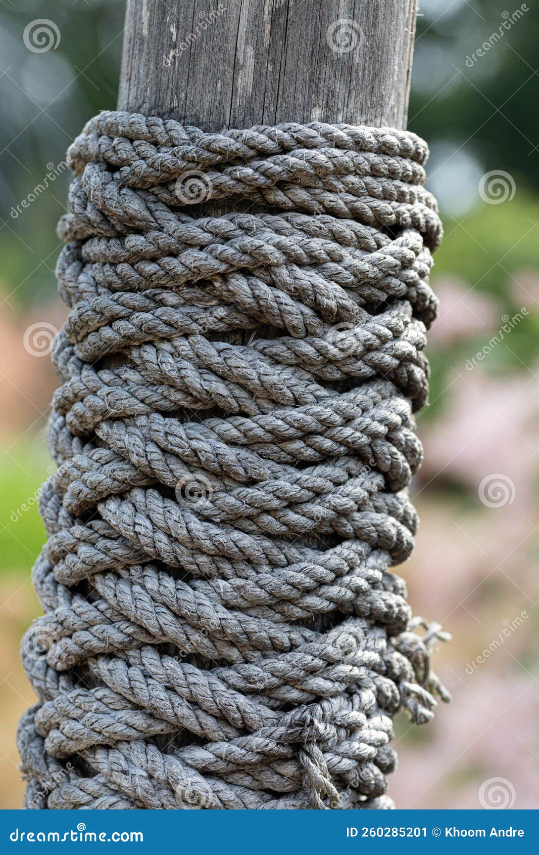 Vertical Closeup of Ropes Tied Around a Wooden Pole Stock Image - Image ...