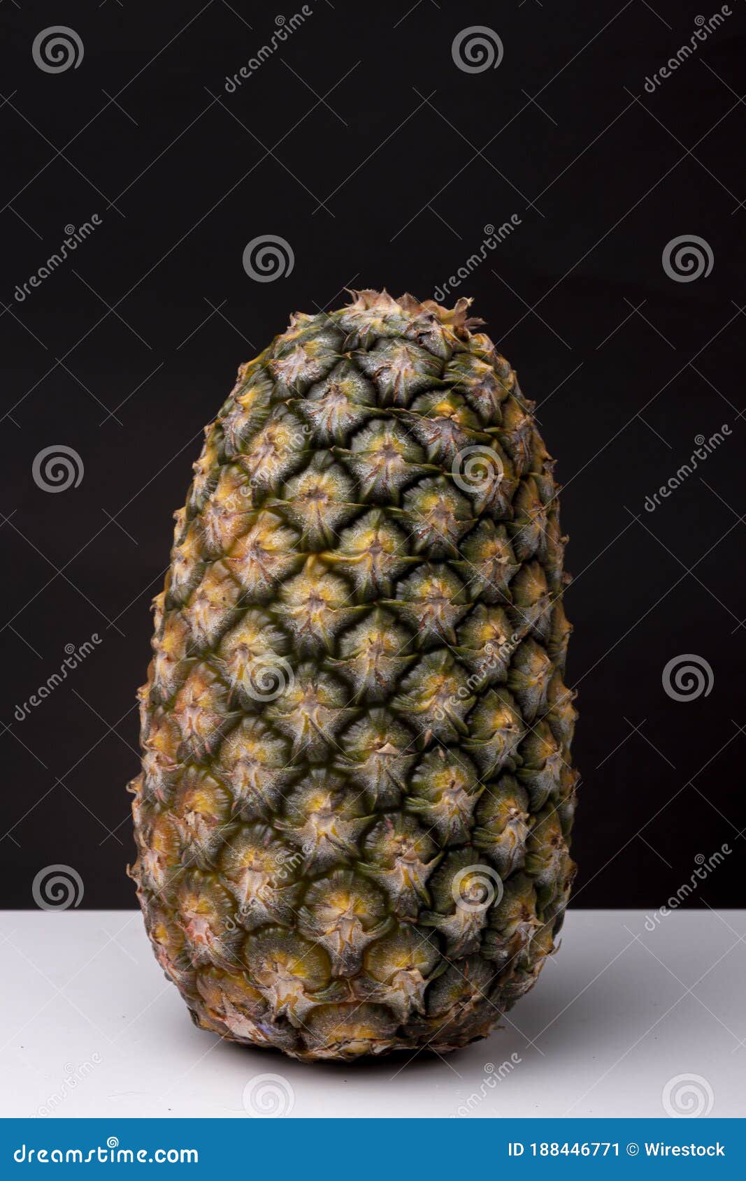 Closeup Of Headless Lions On The Lion Gate That Was The Main Entrance ...