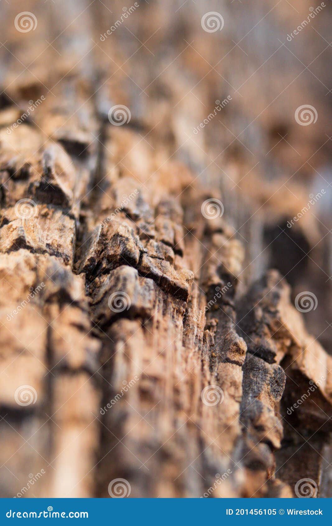 Vertical Closeup Shot of Bark Texture Stock Image - Image of wooden ...