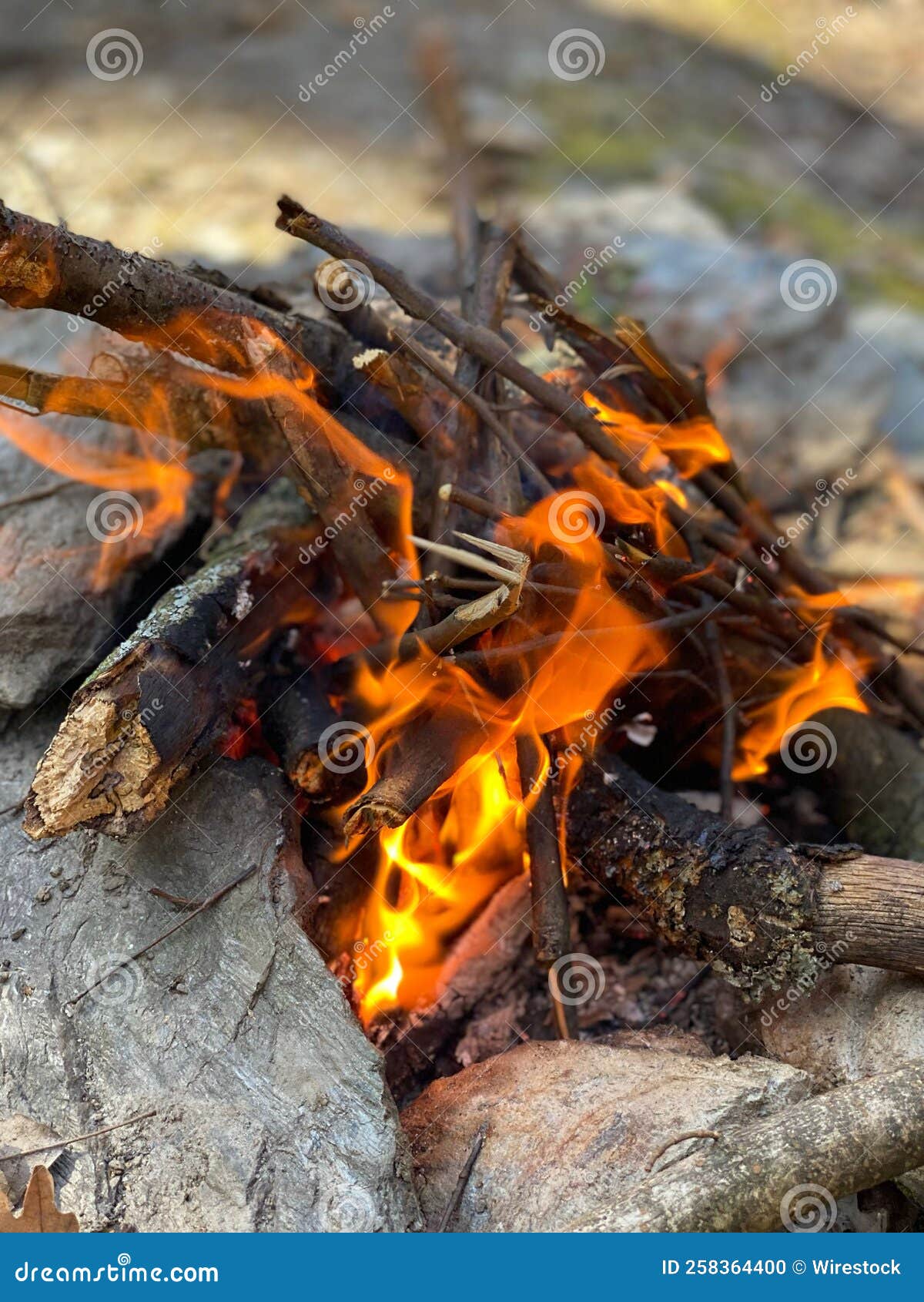 Vertical Closeup Shot of a Campfire Lit with Tree Branches during the ...
