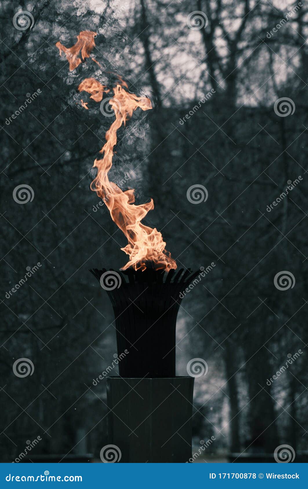Vertical Closeup Shot of the Flame Getting Out of a Flambeau with Trees ...