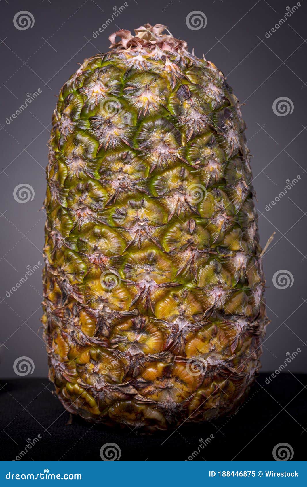 Closeup Of Headless Lions On The Lion Gate That Was The Main Entrance ...