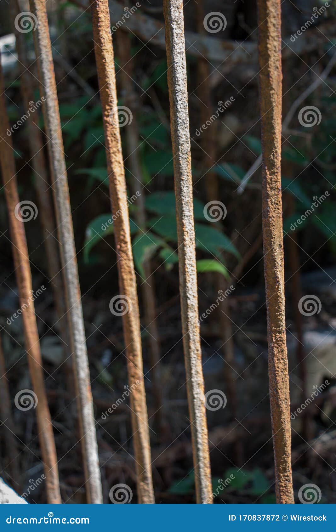 Vertical Closeup Shot of a Lattice with Thin Vertical Columns Stock ...