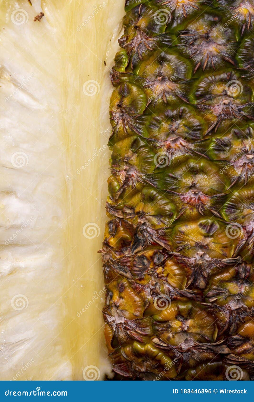 Vertical Closeup Shot of the Outer Shell Texture and the Inside of a ...