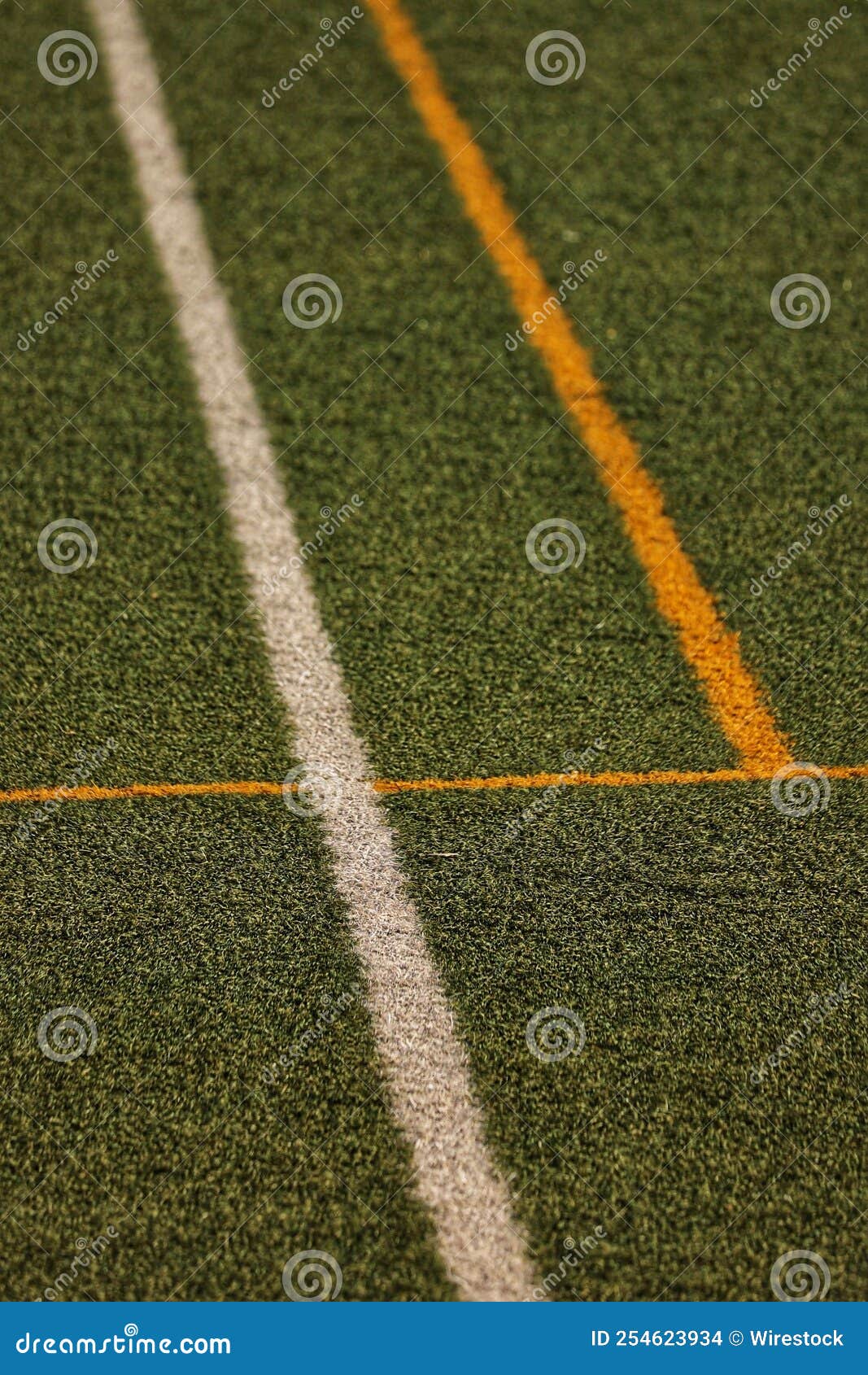 Vertical Closeup Shot of Soccer Field Lawn Stock Photo - Image of white ...