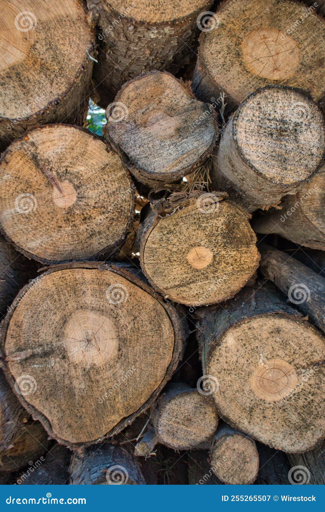 Vertical Closeup of a Wood Log Stack Stock Image - Image of timber ...