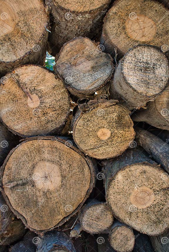 Vertical Closeup of a Wood Log Stack Stock Image - Image of timber ...