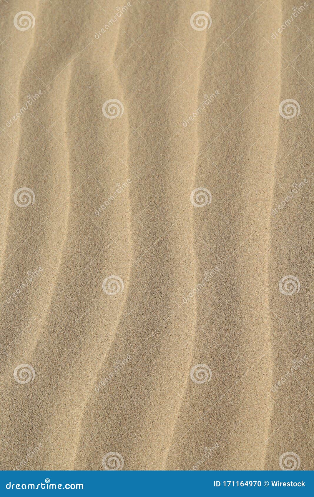Vertical Closuep Shot Of A Sand Texture - Perfect For A Cool Vertical ...