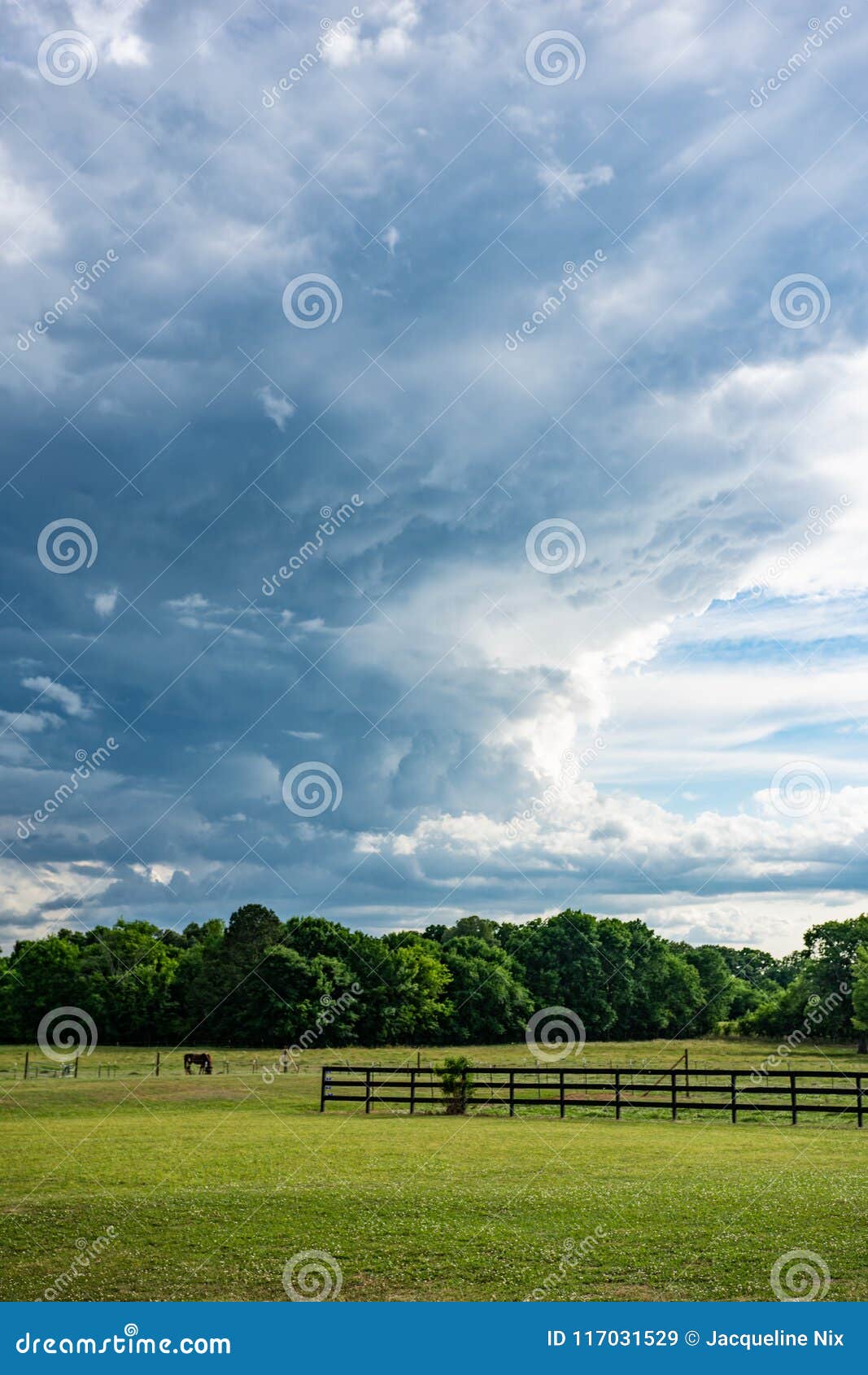 Vertical Cloudscape Over Pasture Farmland Stock Image - Image of ...