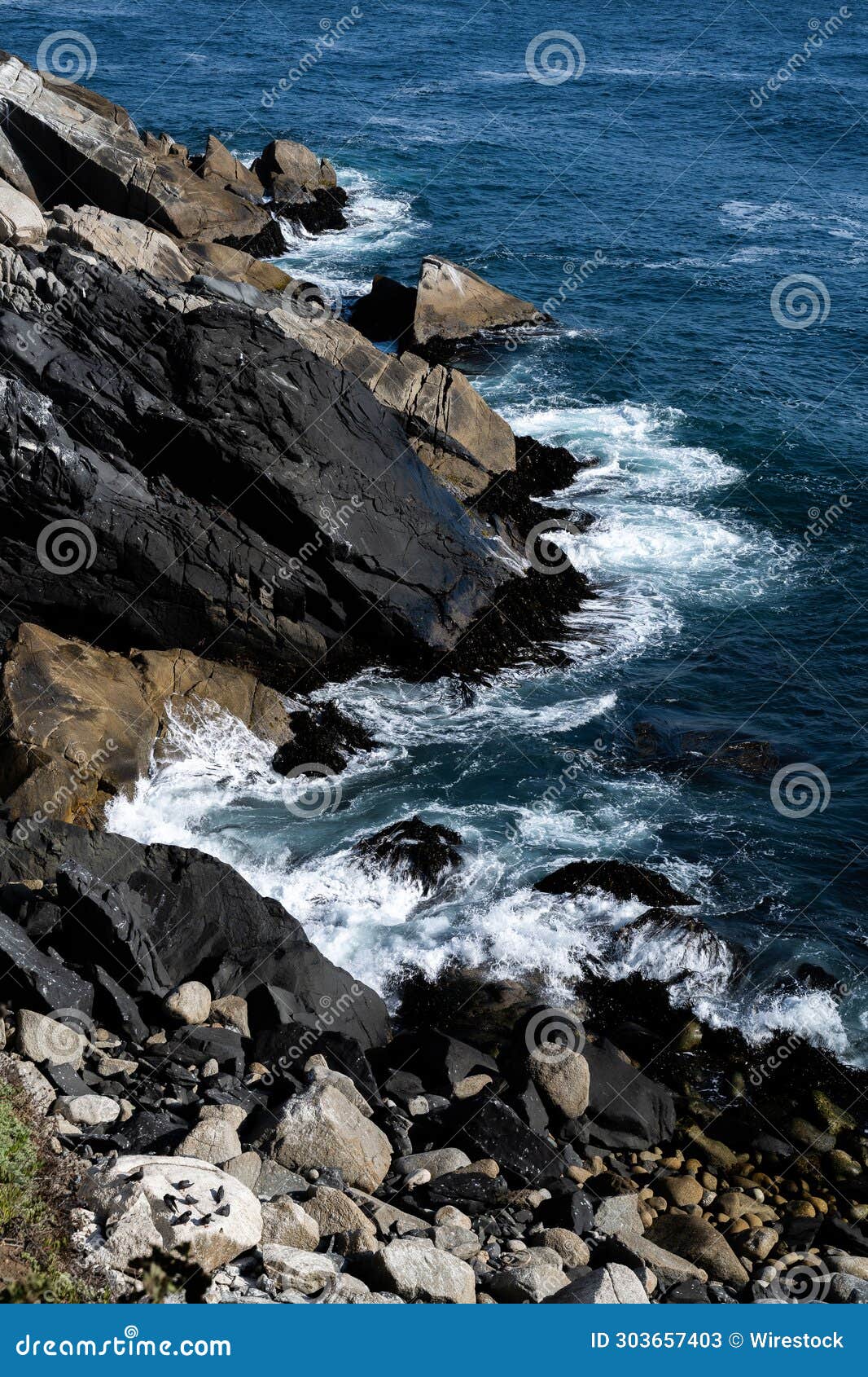 Vertical of the Coast of Pacific Ocean in Chile Stock Image - Image of ...