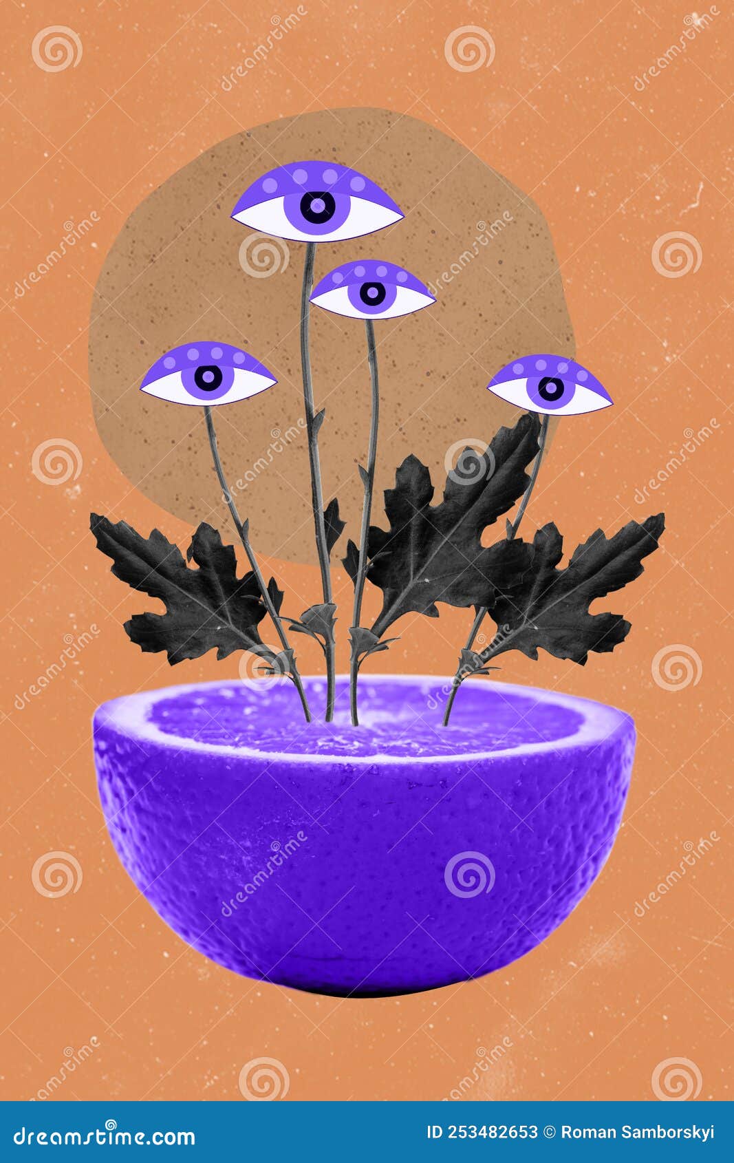 Vertical Collage Image of Eye Plant Growing Half Orange Isolated on ...