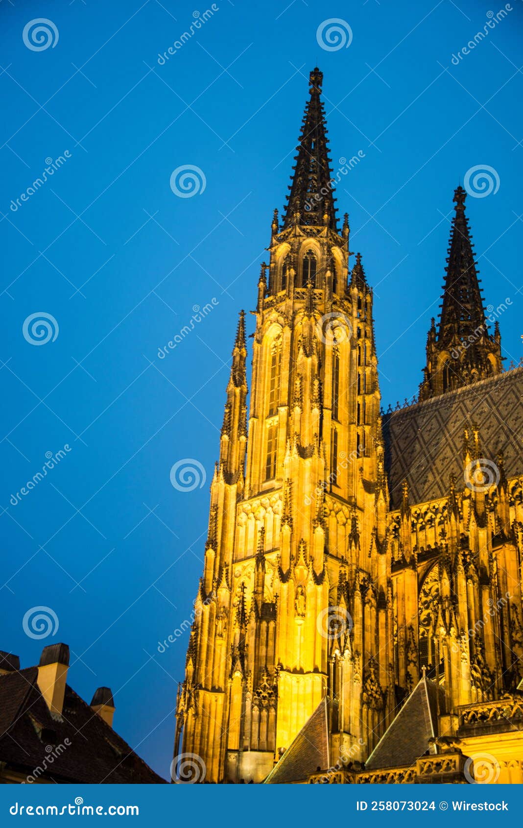 Vertical of the Cologne Cathedral at Night. Stock Photo - Image of ...