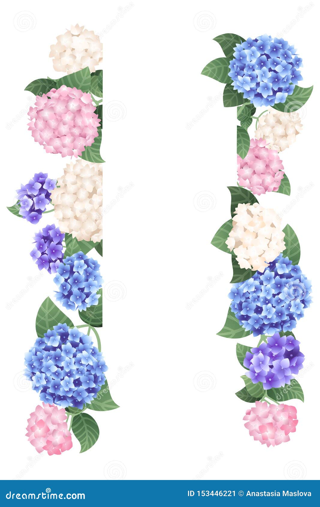 Hydrangea Vertical Round Banners Vector Illustration | CartoonDealer ...