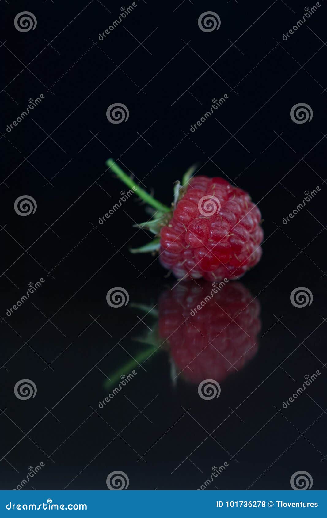 Vertical Complete Raspberry Stock Photo - Image of fruit, color: 101736278