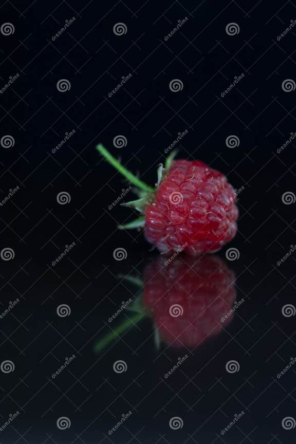 Vertical Complete Raspberry Stock Photo - Image of fruit, color: 101736278