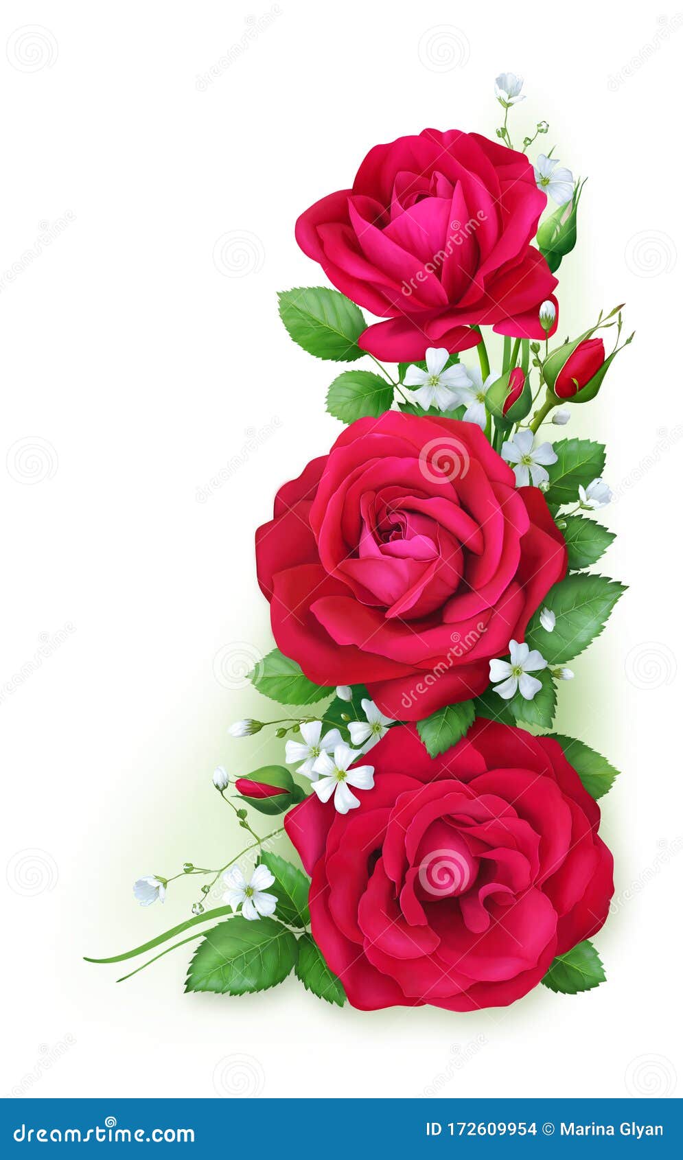Vertical Composition of Red Roses. Stock Photo - Image of gift, flower ...
