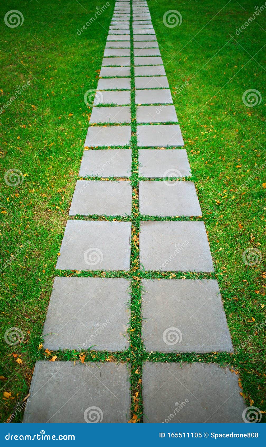 Vertical Concrete Path Surrounded By Green Grass Texture Background ...