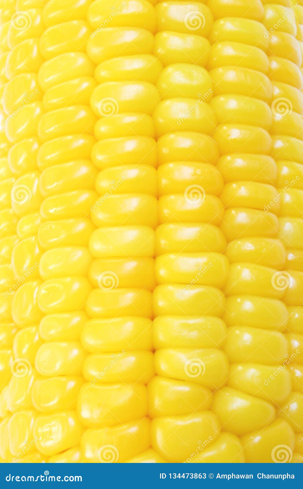Vertical Corn on Background Stock Image - Image of nature, crop: 134473863
