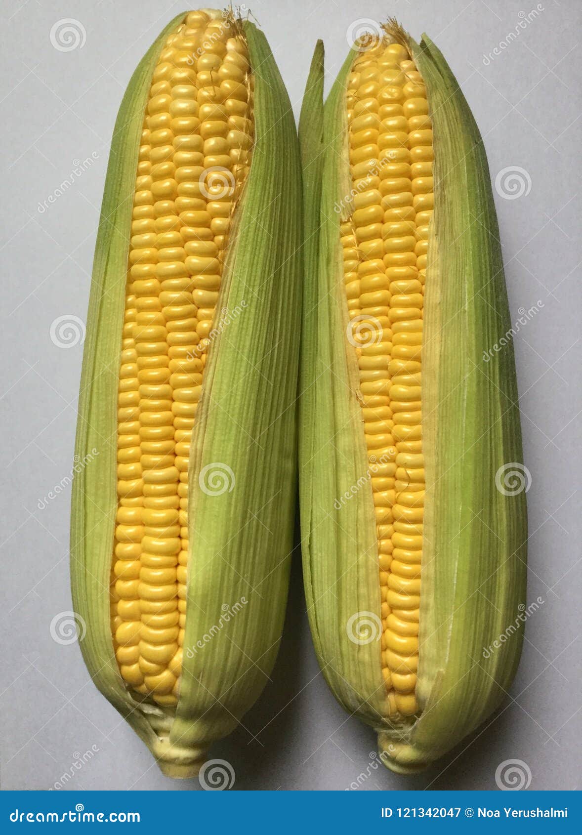 Vertical Corn Cobs. Pair. stock image. Image of food - 121342047