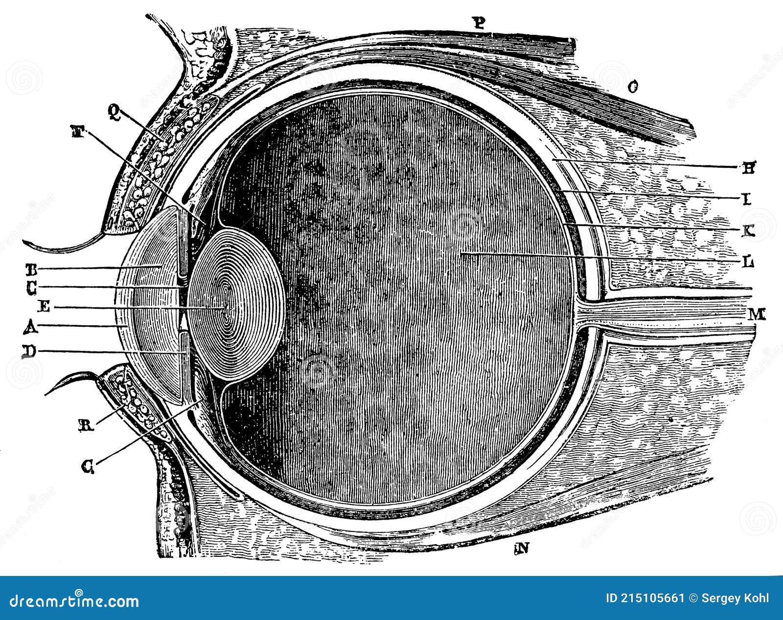 Vertical Cross Stock Illustrations – 3,046 Vertical Cross Stock ...