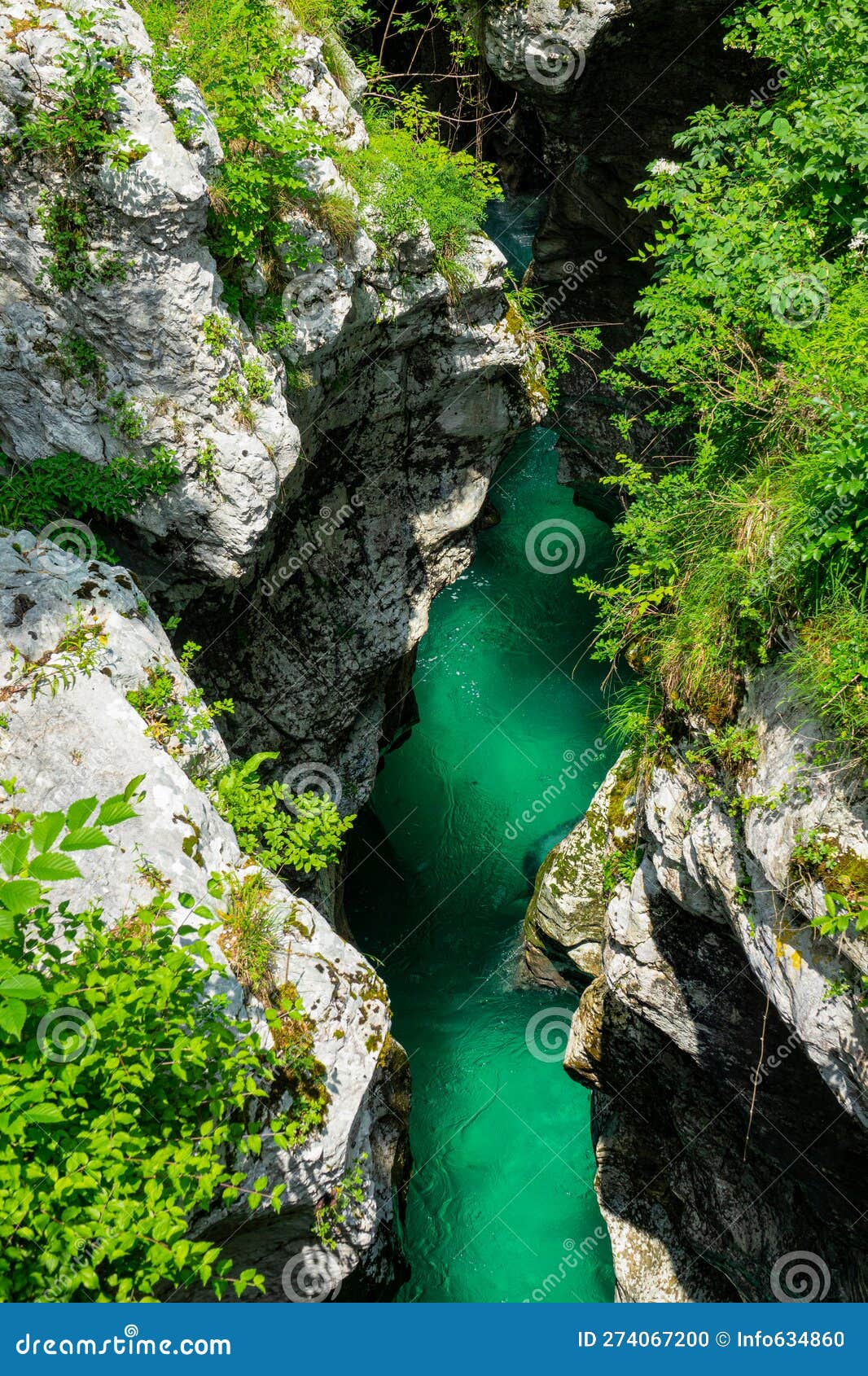 VERTICAL: Deep Emerald Colored River Flows Along a Gorge in Scenic Soca ...