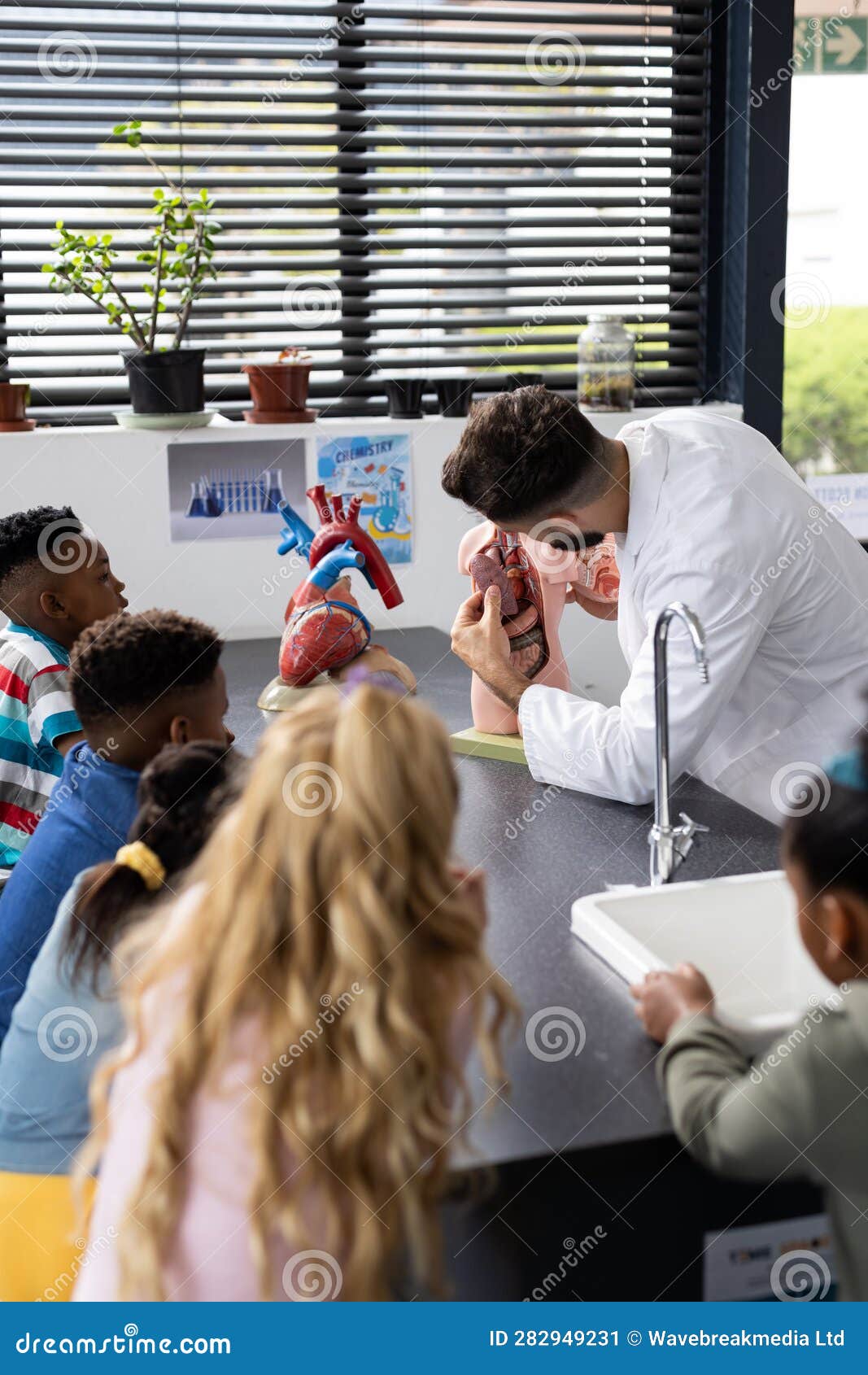 Vertical of Diverse Elementary School Pupils and Male Teacher Studying ...