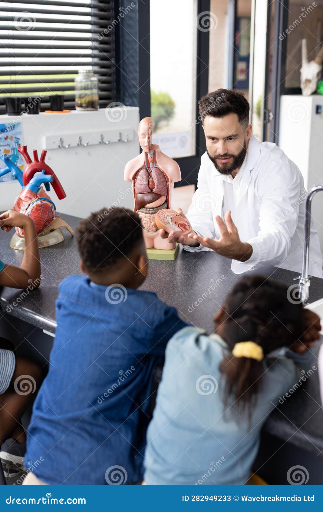Vertical of Diverse Elementary School Pupils and Male Teacher Studying ...