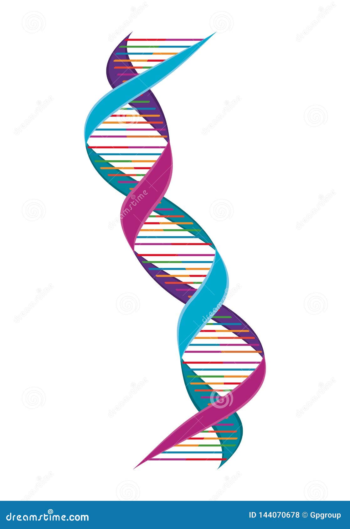 Vertical Dna Chain Science Colorful Icon Stock Vector - Illustration of ...
