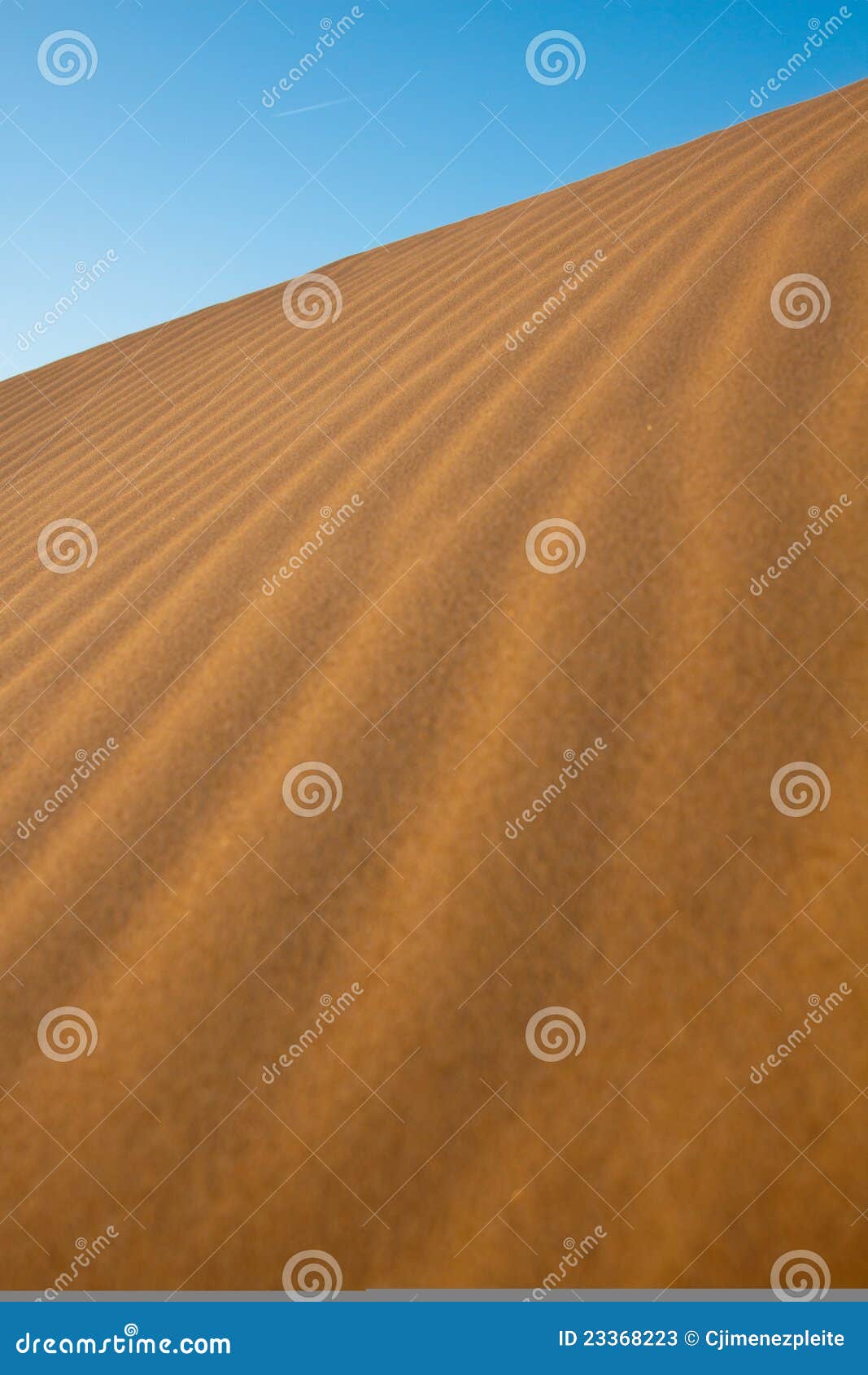 Vertical dune with ripples stock image. Image of dessert - 23368223