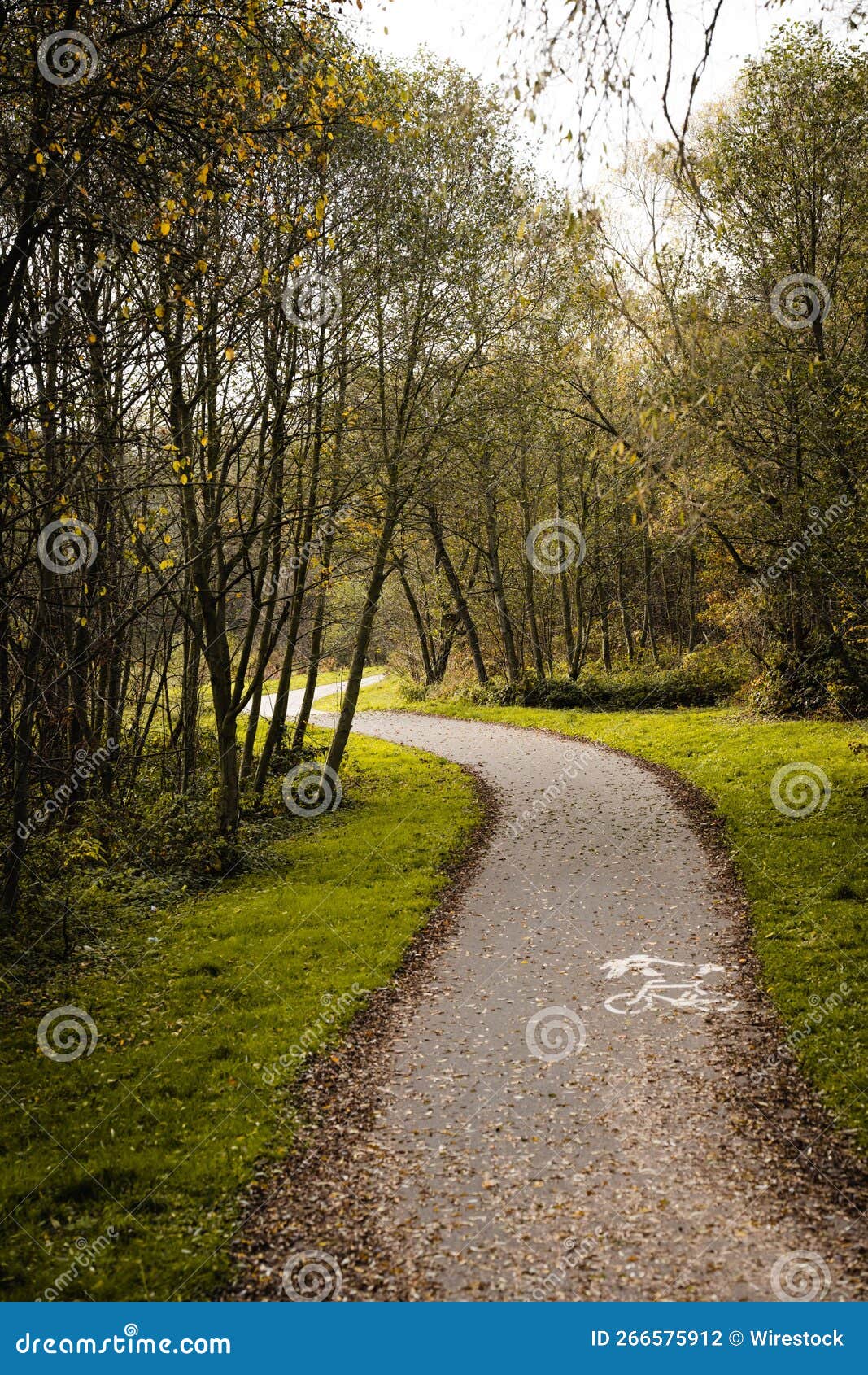 Vertical of Dusty Path through Garden with Trees and Grass Around Stock ...