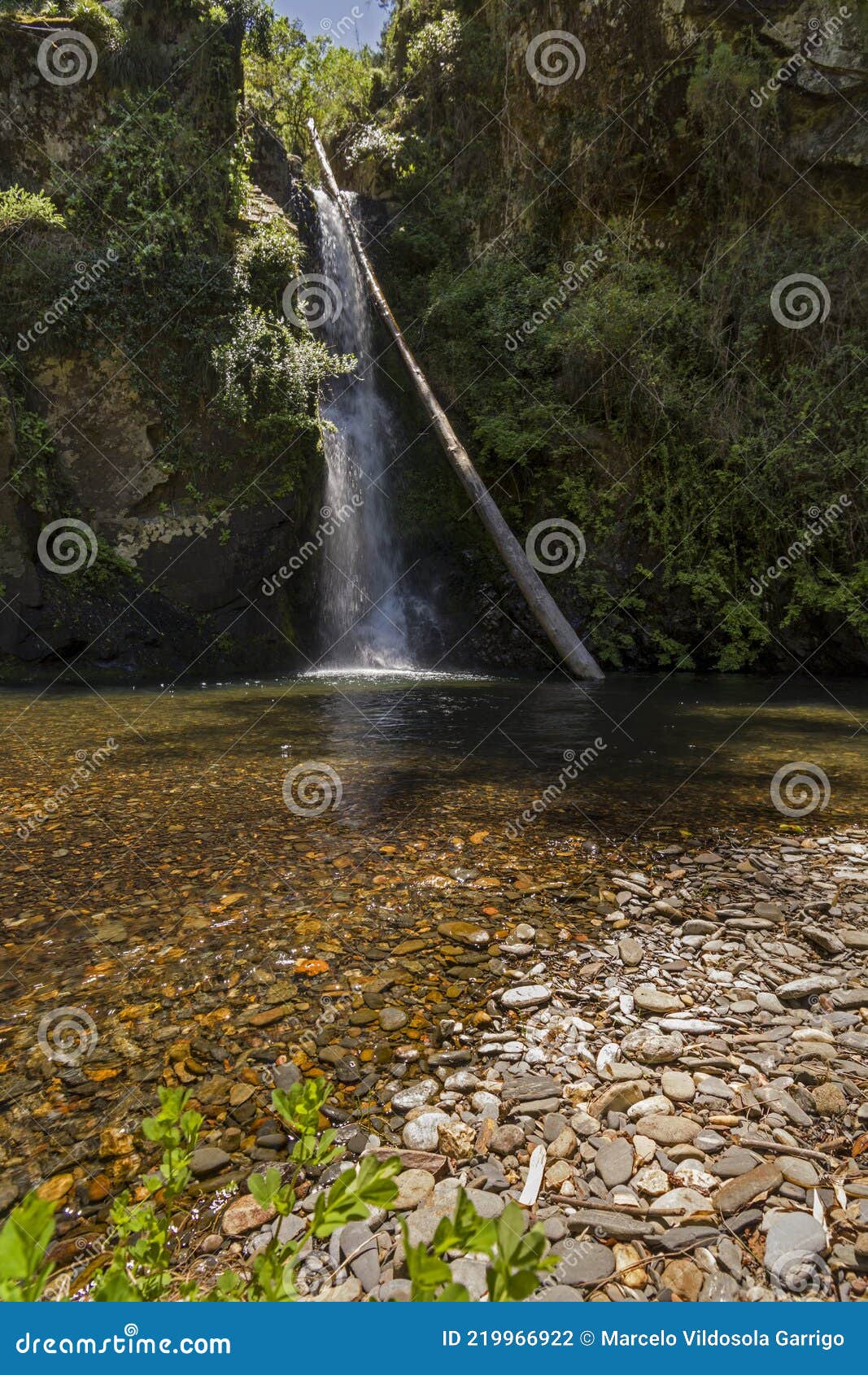 Vertical Fall of Water Towards the Bottom of the Stream. Stock Photo ...
