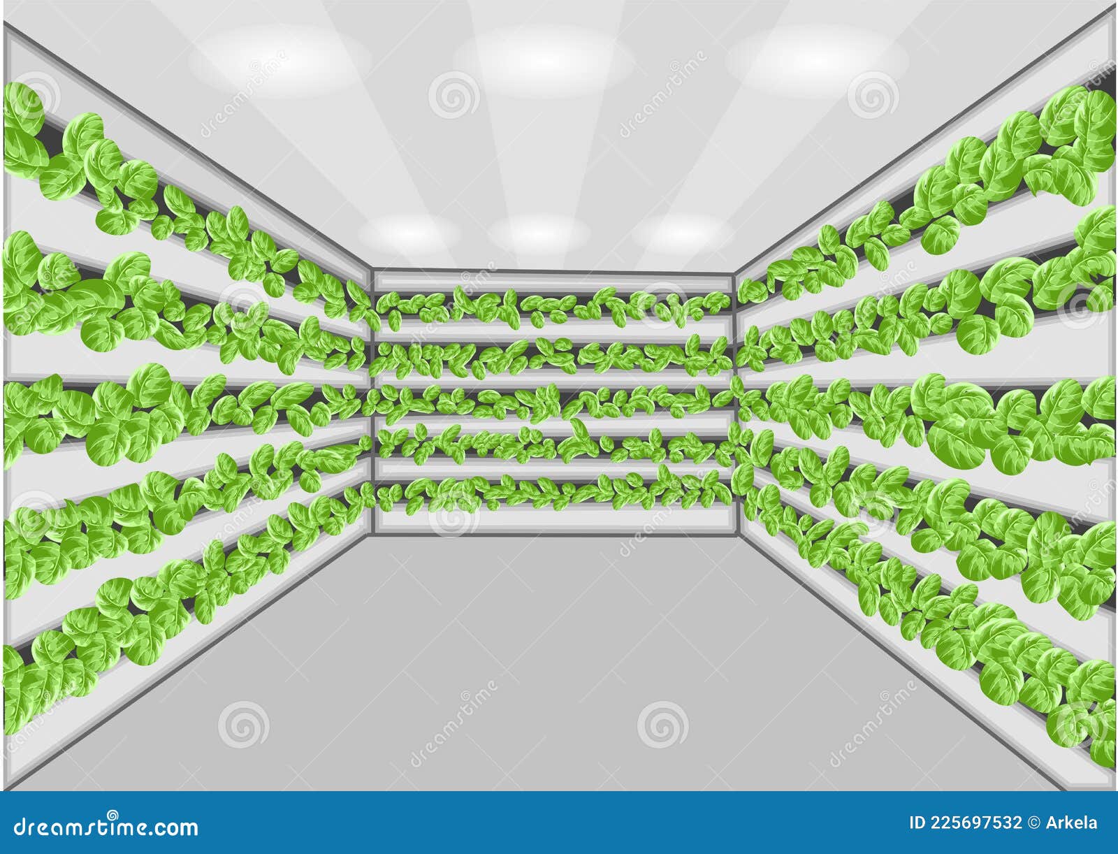 Vertical farming stock illustration. Illustration of vegetable - 225697532