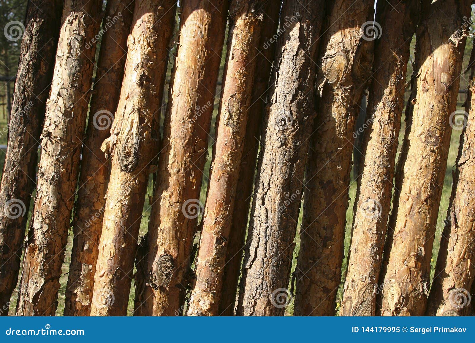 Vertical Fence of Untreated Logs Stock Image - Image of abstract ...