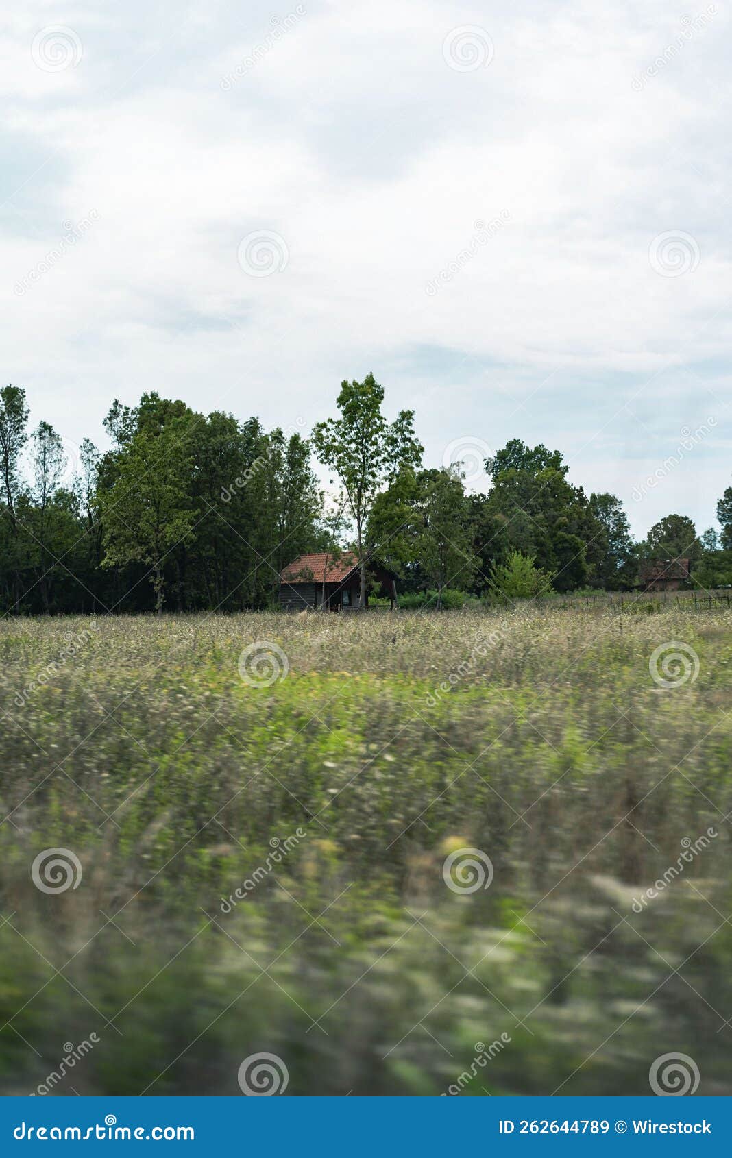 Vertical of a Field with a House and Trees in the Distance. Stock Image ...