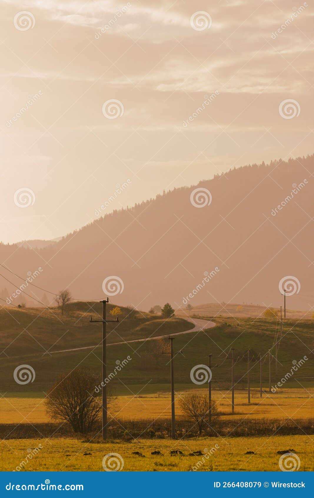 Vertical of Fields with Power Lines and Stations Around, Misty ...