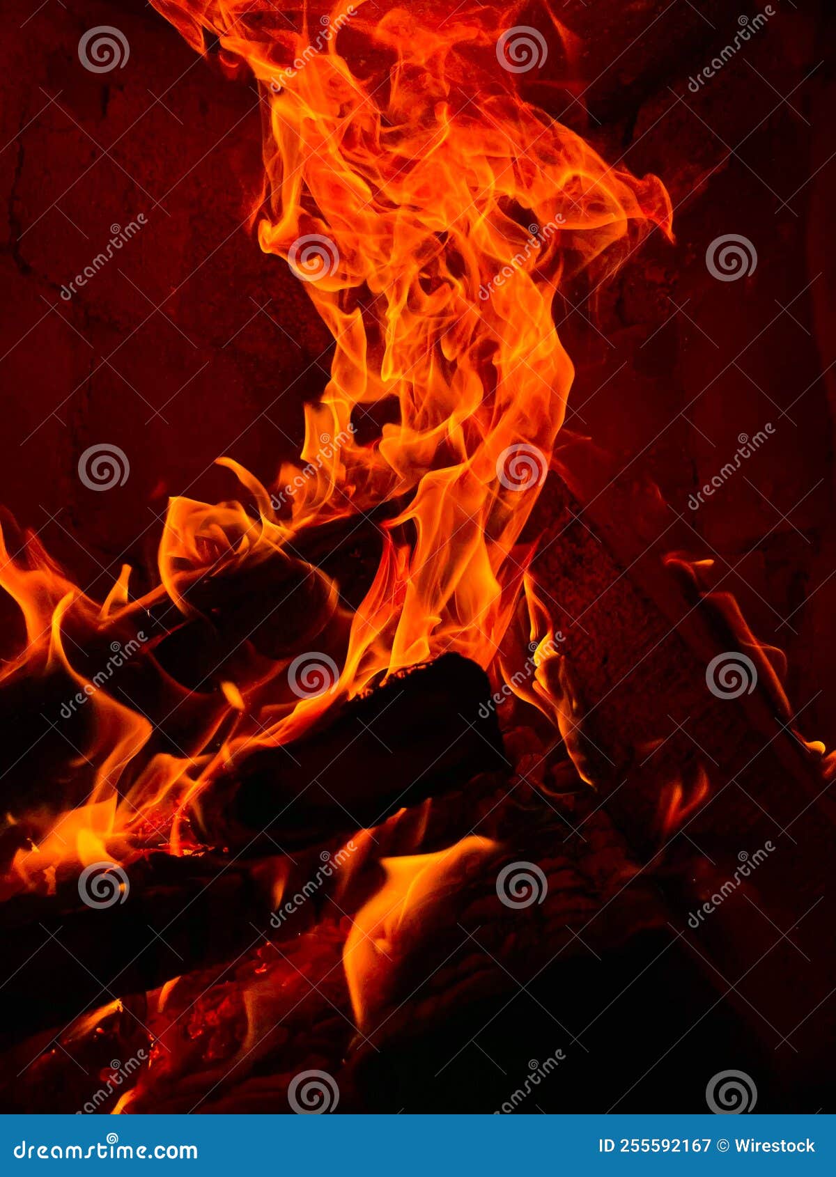 Vertical of a Fire Burning Wood. Stock Image - Image of warm, bonfire ...