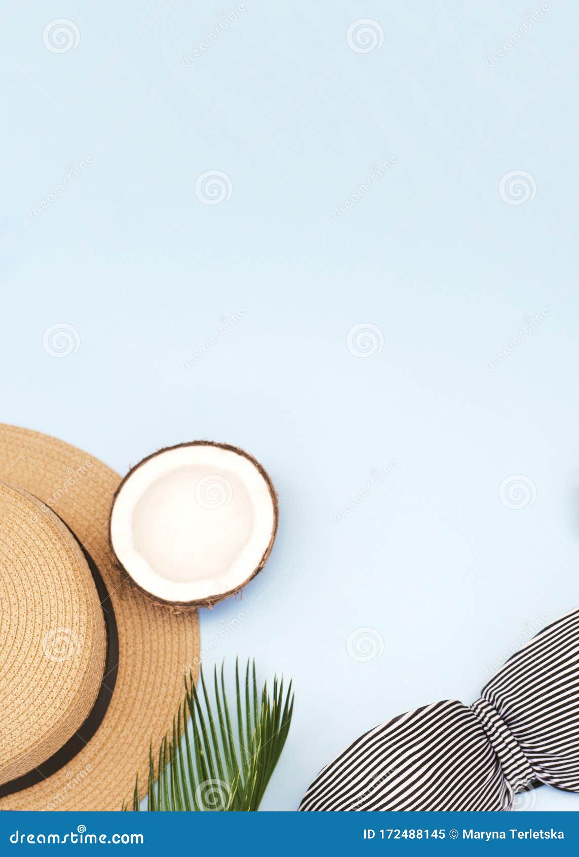 Vertical Flat Lay Summer in Tropical Style Stock Image - Image of color ...